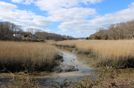 Rediscovering Setauket's Indigenous legacy: The history and challenges ...